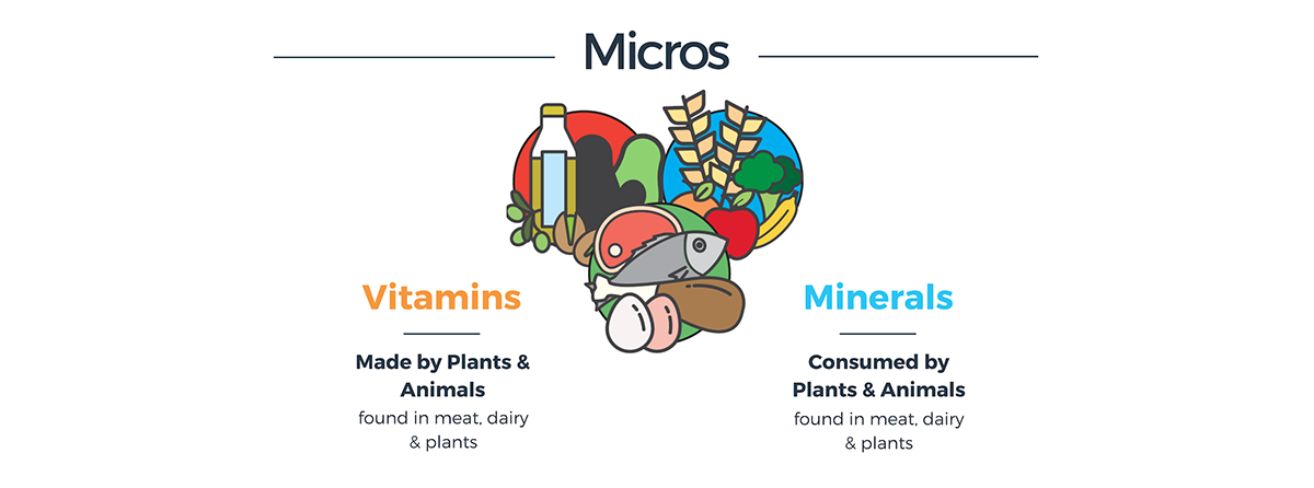 Macro & Micronutrients