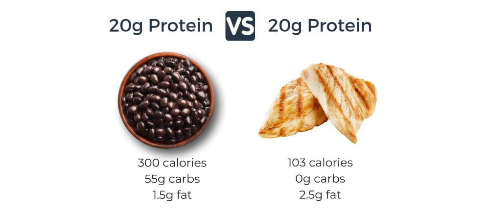 20 Vegan Protein Sources To Help You Crush Your Macros