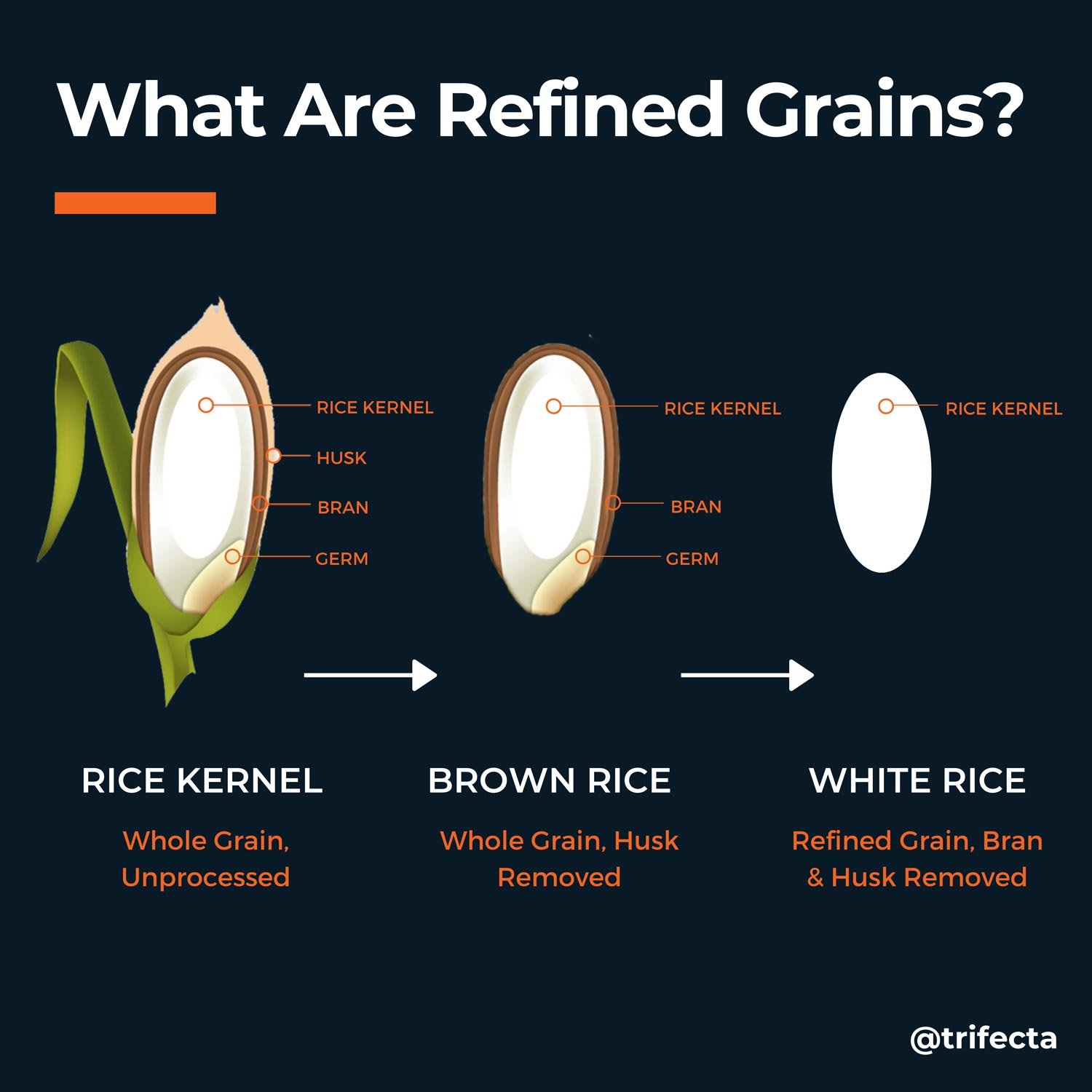 What Are Refined Carbs and Are They Bad for Your Health?